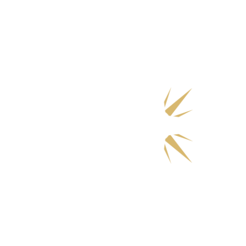 Helios Solutions | Expert en solutions solaires